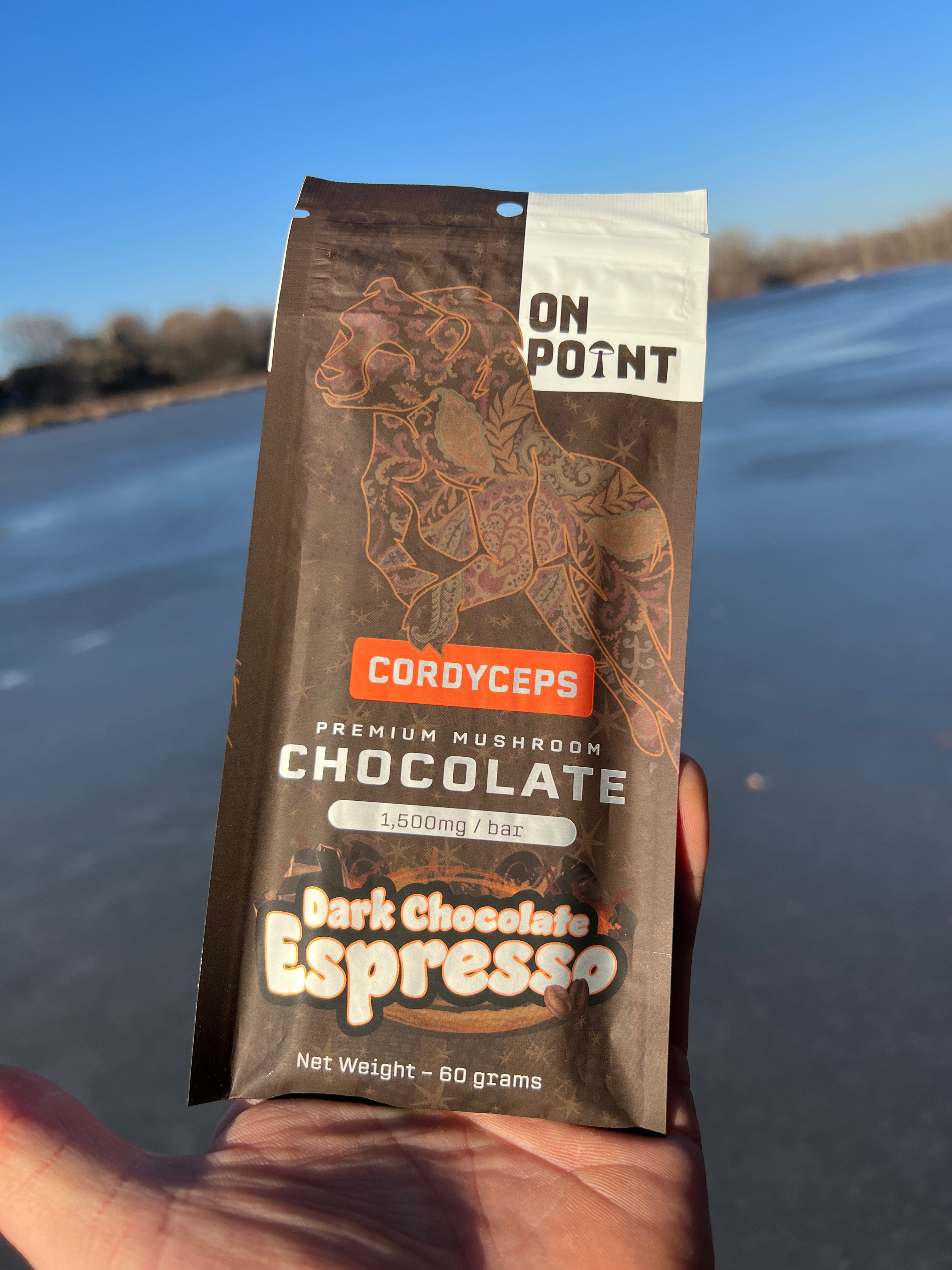 ON POINT Cordyceps Dark Chocolate Espresso Energy Bar – On Point